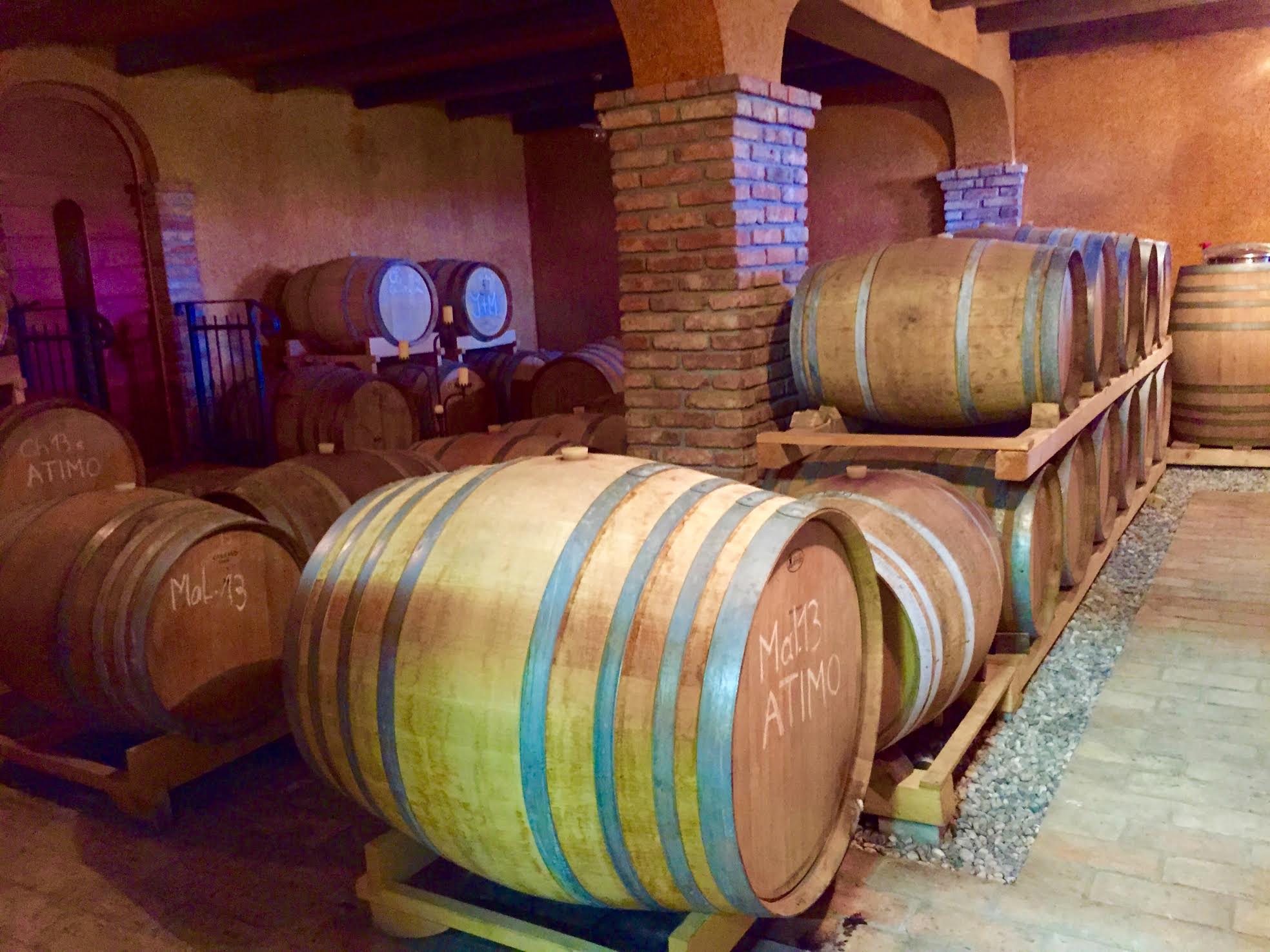 Valter Sirk - Višnjevik (Goriška BRDA) - Giannoni Selections: Organic ...